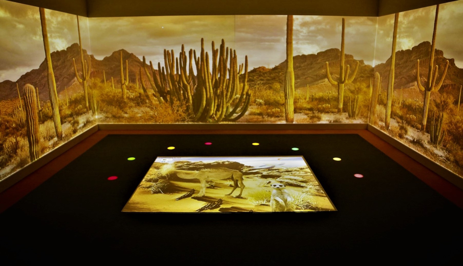 omiRoom: Immersive Interactive Rooms