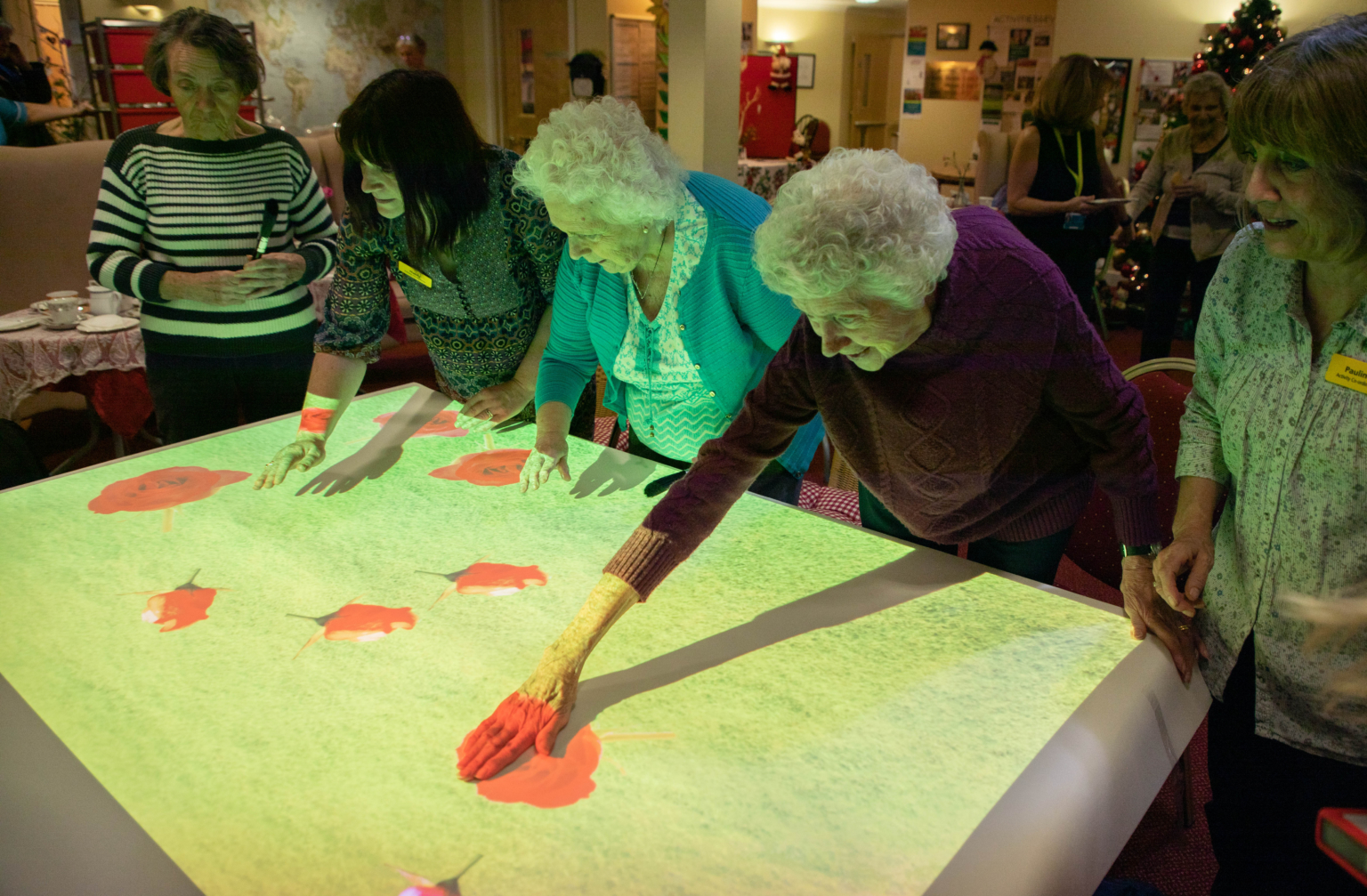 Budii care - OM Interactive