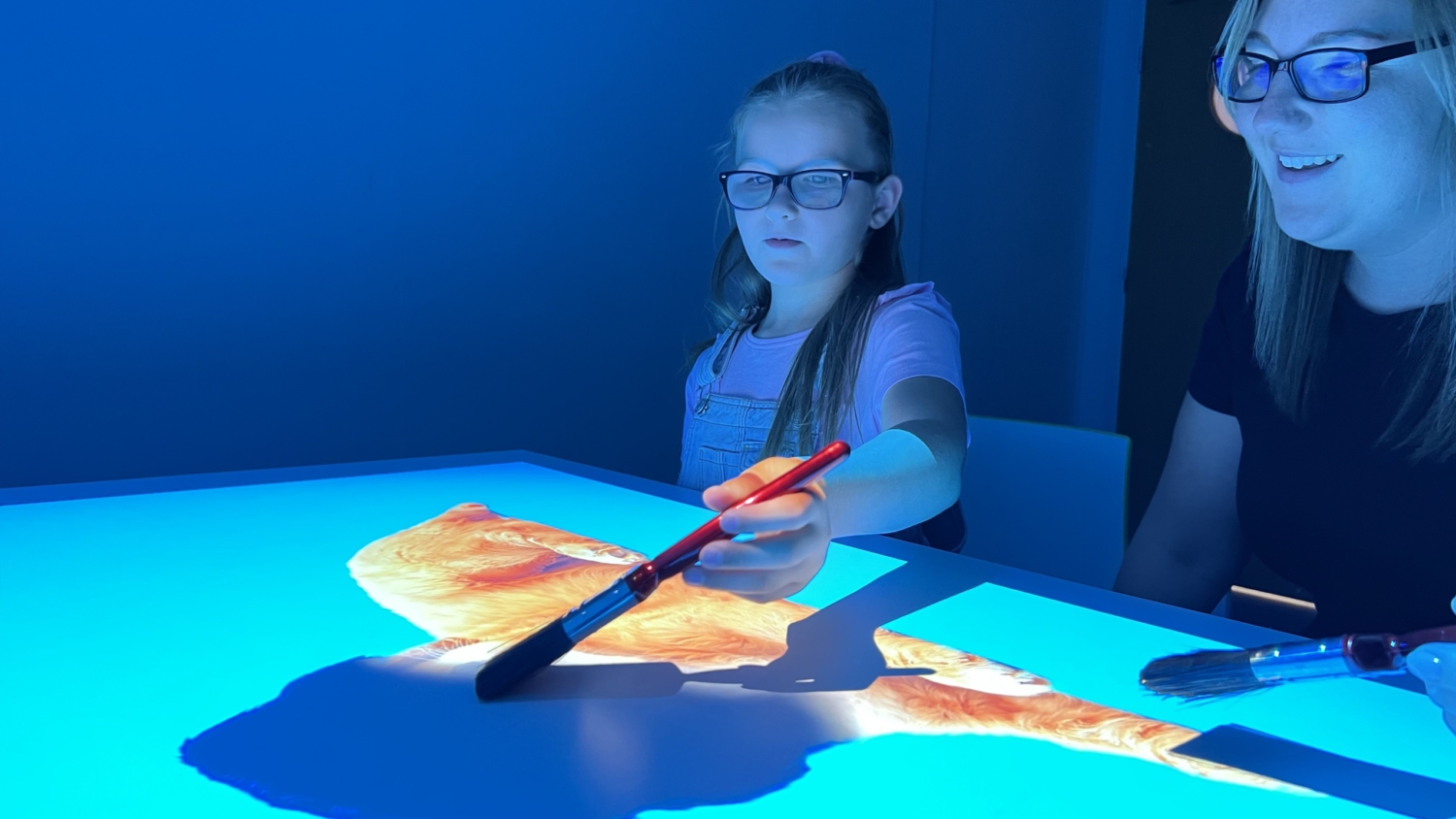 Parents Budii - OM Interactive