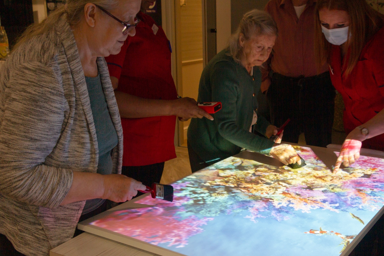 Budii care - OM Interactive