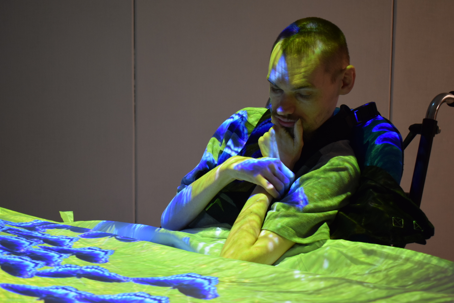 ASN Budii - OM Interactive