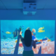omiWall: Interactive Wall - OM Interactive