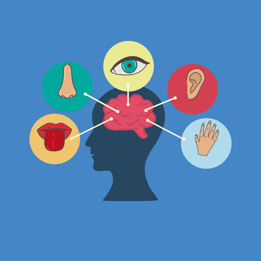 Creating a Sensory-Friendly Home Environment with OM Interactive's ... Creating a Sensory-Friendly Home Environment with OM Interactive's ...