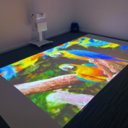 OM Interactive | Interactive Sensory Projection Systems