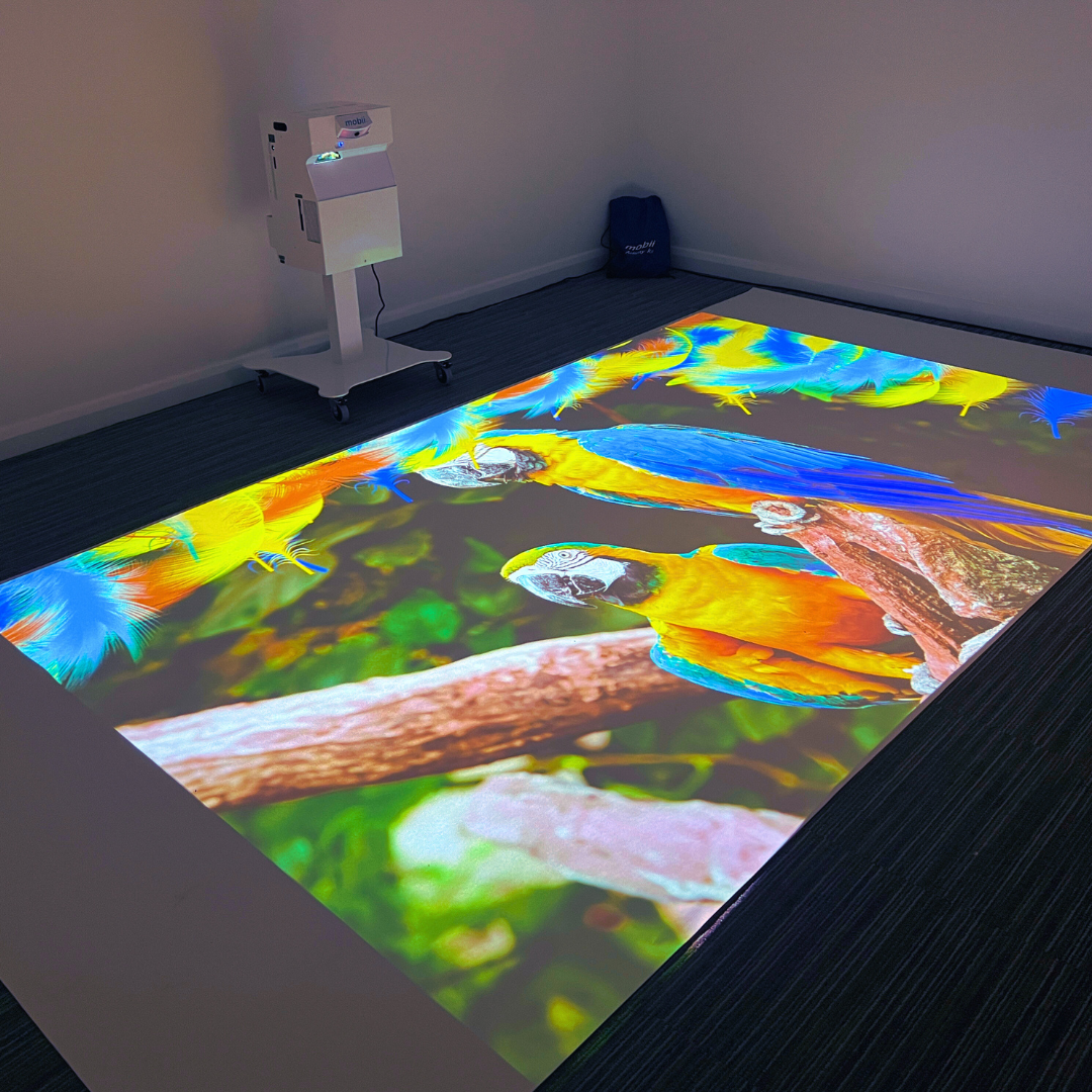 OM Interactive | Interactive Sensory Projection Systems