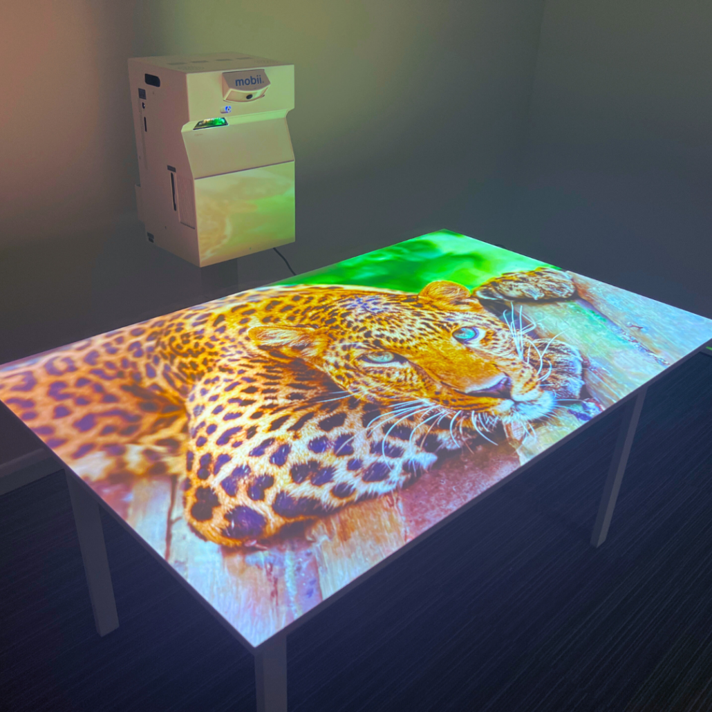 OM Interactive | Interactive Sensory Projection Systems