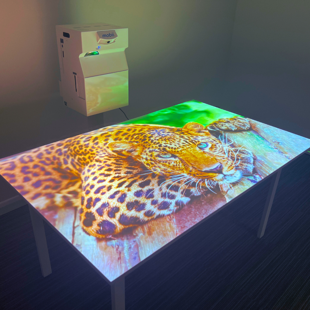 OM Interactive | Interactive Sensory Projection Systems